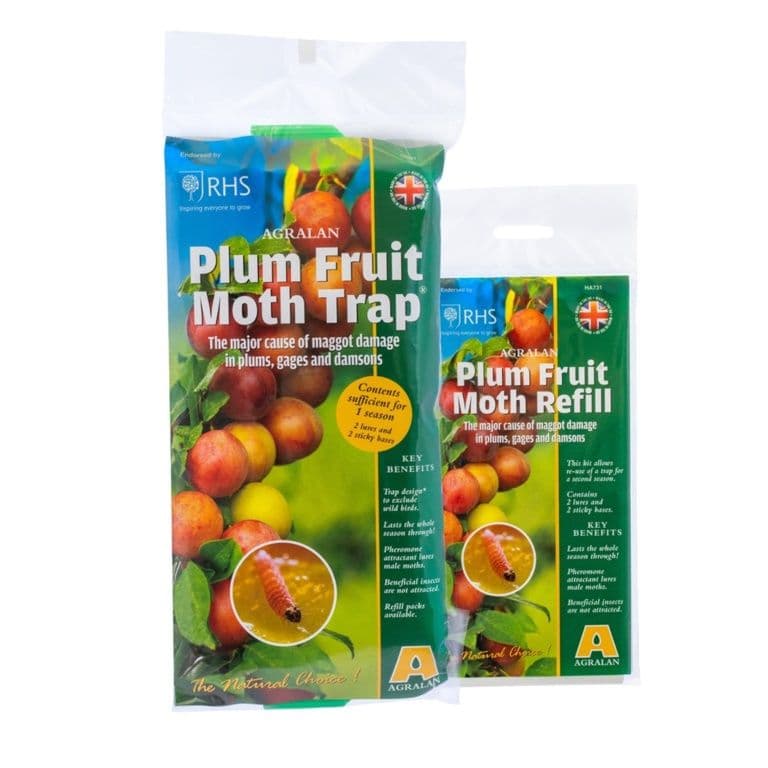 Agralan Plum Fruit Moth Trap - Protects up to 3 trees – Status Home Care
