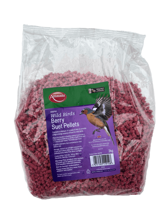 Ambassador Berry Suet Pellets - 2kg – Status Home Care