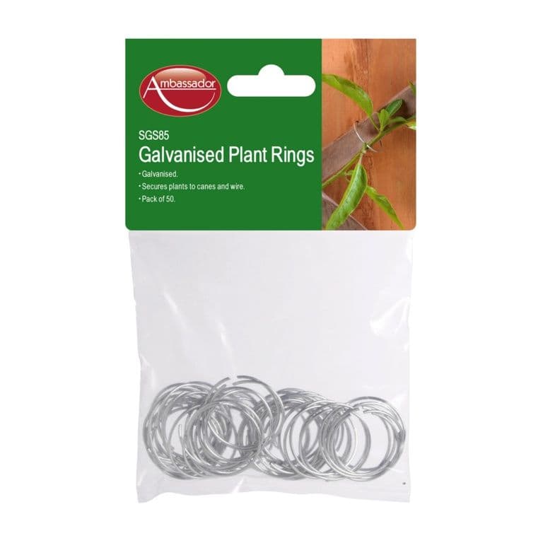 Ambassador Galvanised Plant Rings – Status Home Care