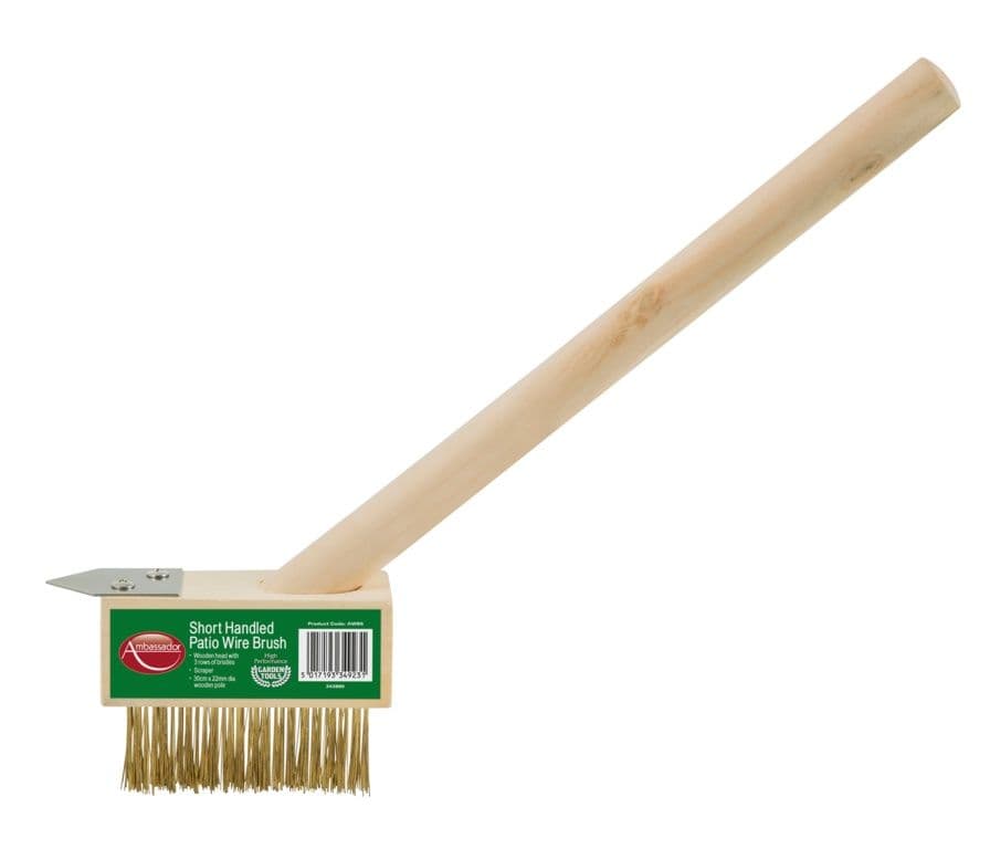 Ambassador Wire Brush Short Handled – Status Home Care