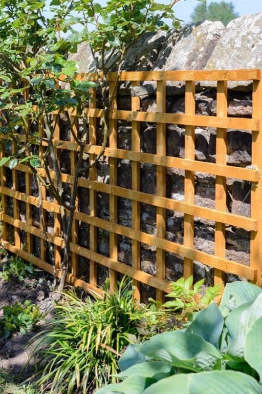 Grange Heavy Duty Square Trellis - 1.83m x 32cm – Status Home Care