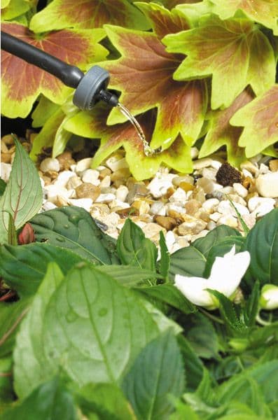 Hozelock 4 LPH End of Line Pressure Compensating Dripper - (Contains 5 ...