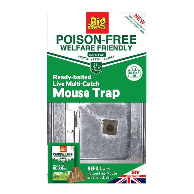 The Big Cheese Poison Free Ready Baited Live Multi Catch Mouse Trap ...