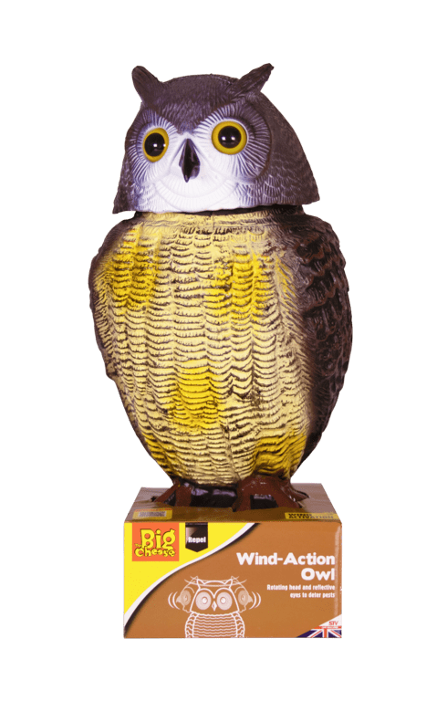 The Big Cheese Wind Action Owl – Status Home Care