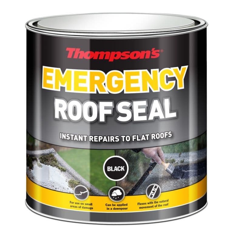 Thompson's Emergency Roof Seal - 2.5L Black – Status Home Care